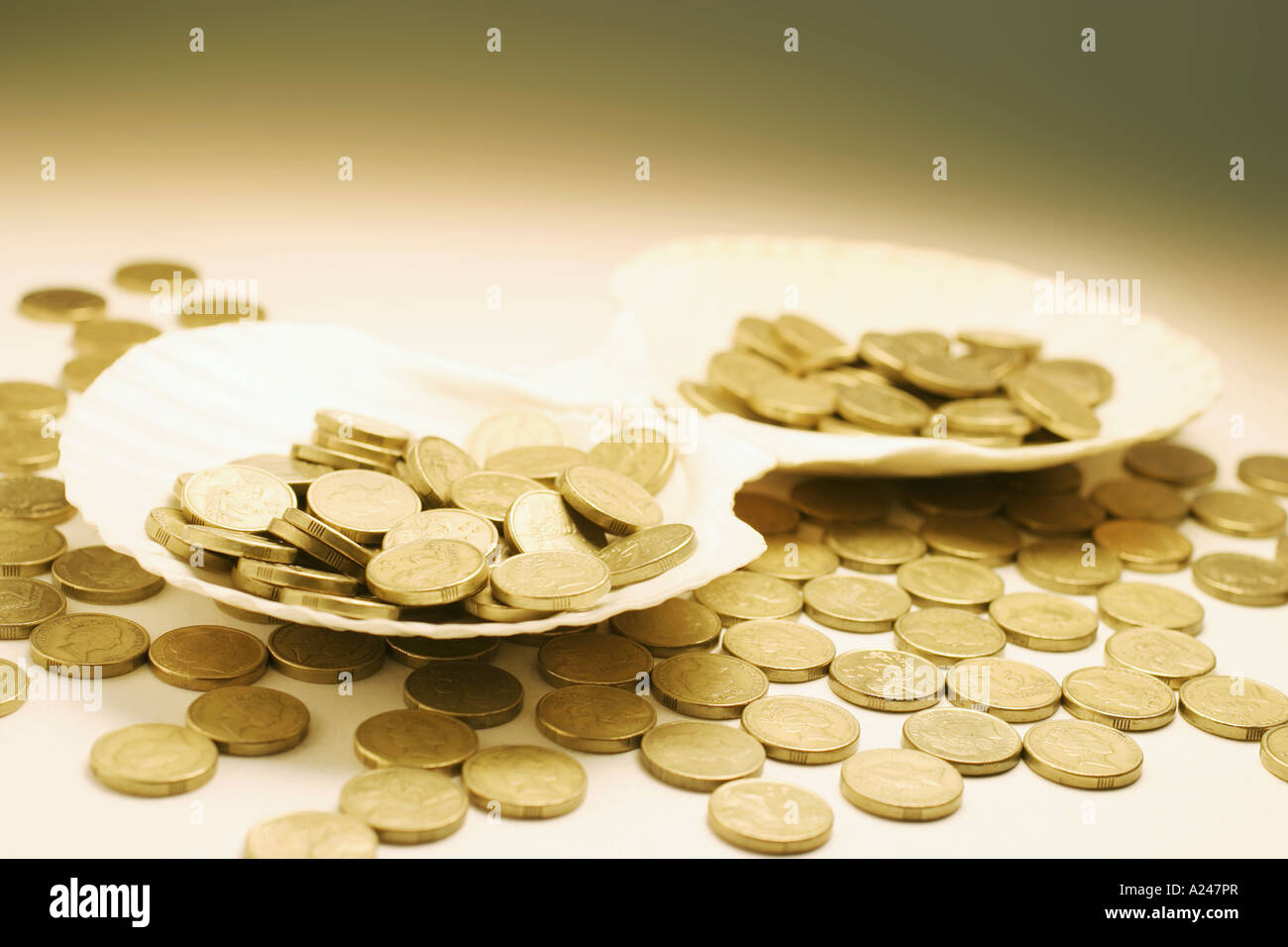 Seashell and Coins Stock Photo - Alamy