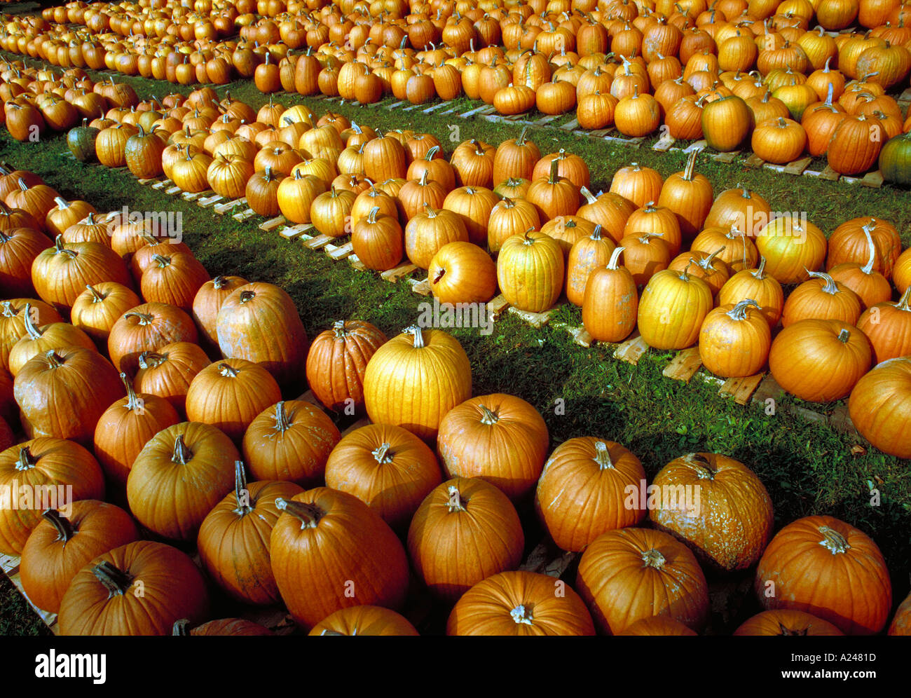 More rows hi-res stock photography and images - Alamy