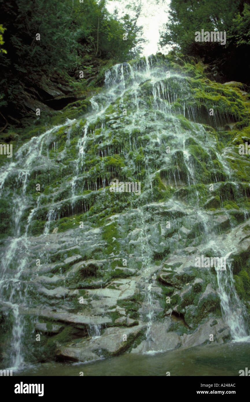 Mossy waterfall extensive collection of waterfalls images Stock Photo ...