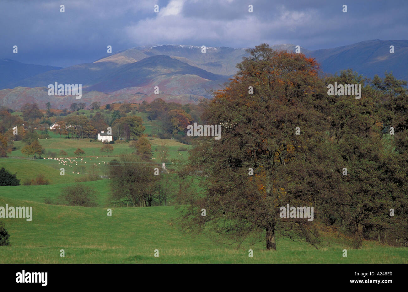Lake District Scene Stock Photo - Alamy
