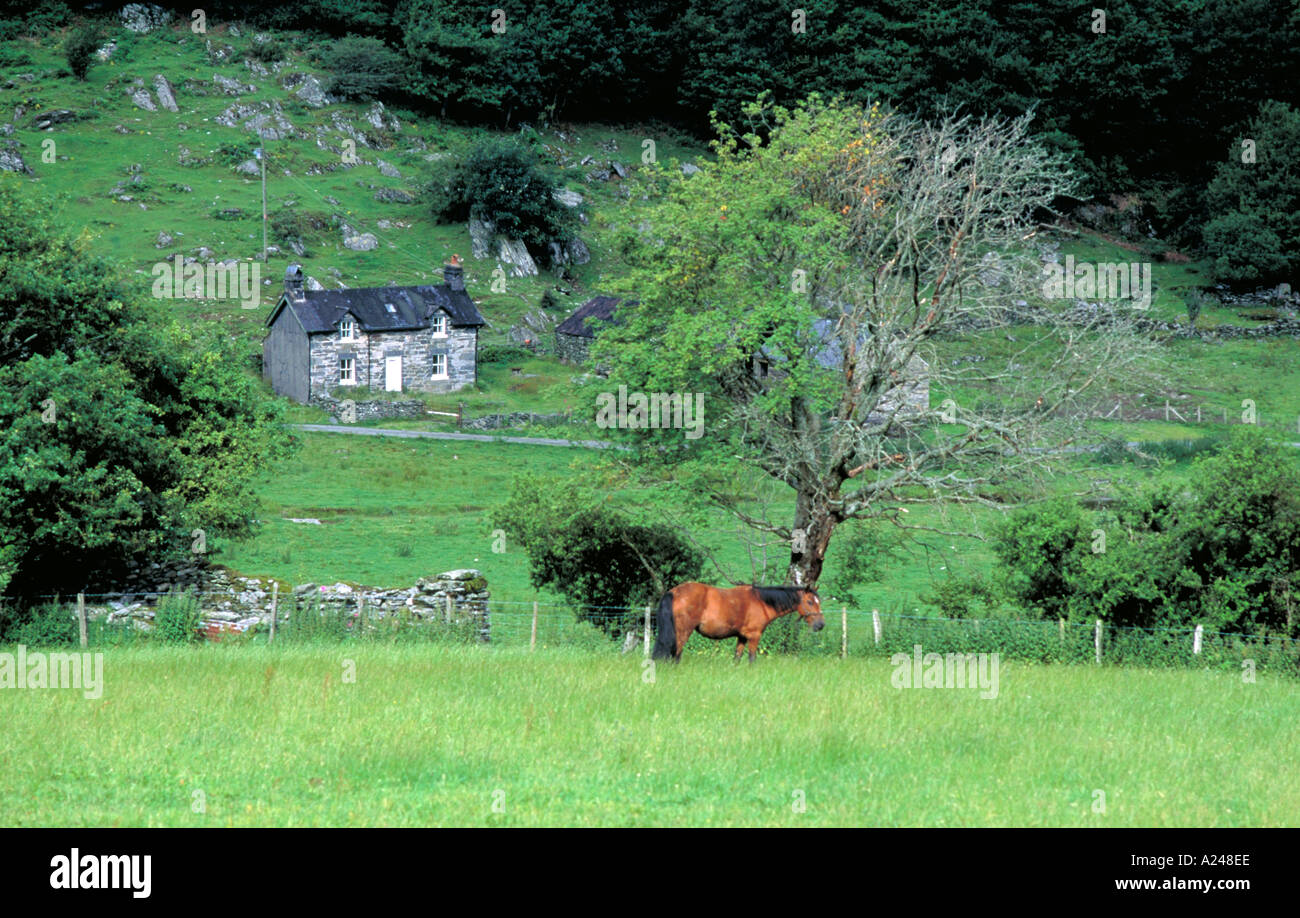 Welsh fields hi-res stock photography and images - Alamy