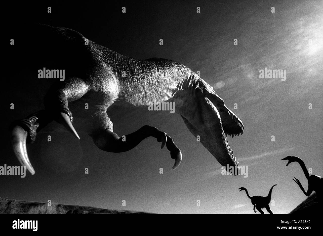 Fine prey Black and White Stock Photos & Images - Alamy