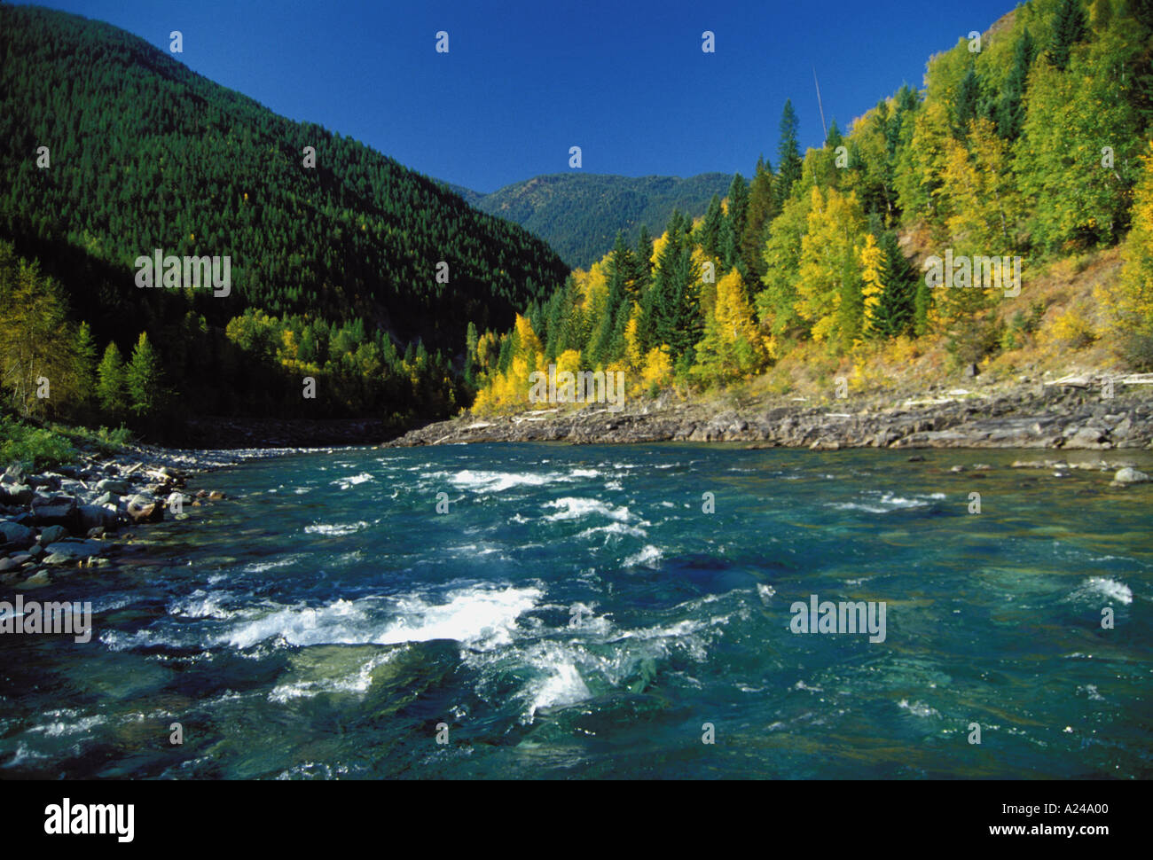 Middle Fork of the Flathead River northwestern Montana in Glacier ...