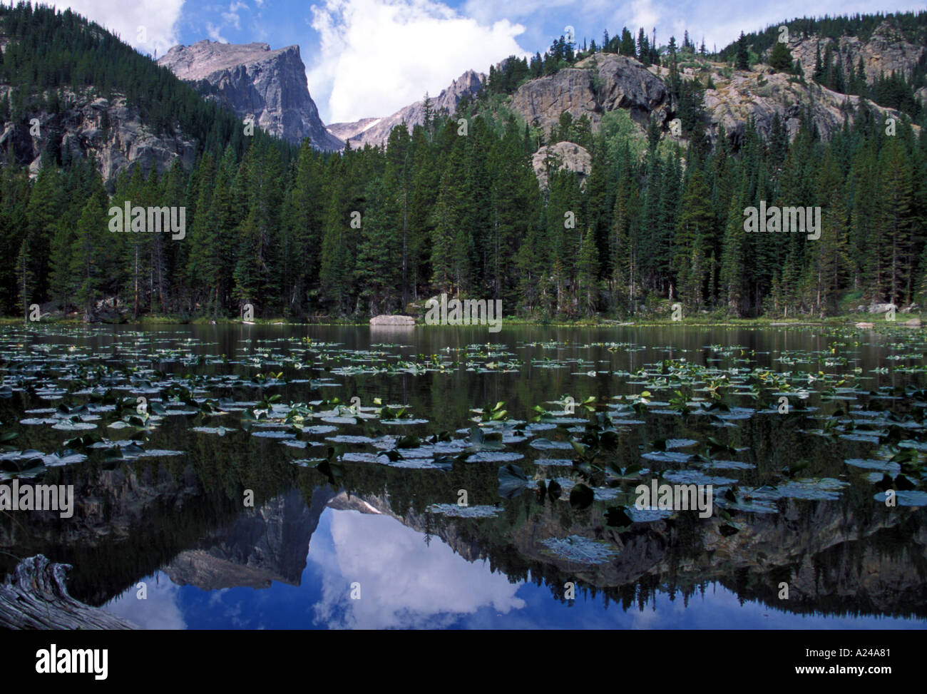 Nymph Lake Rocky Mountain Stock Photo - Alamy