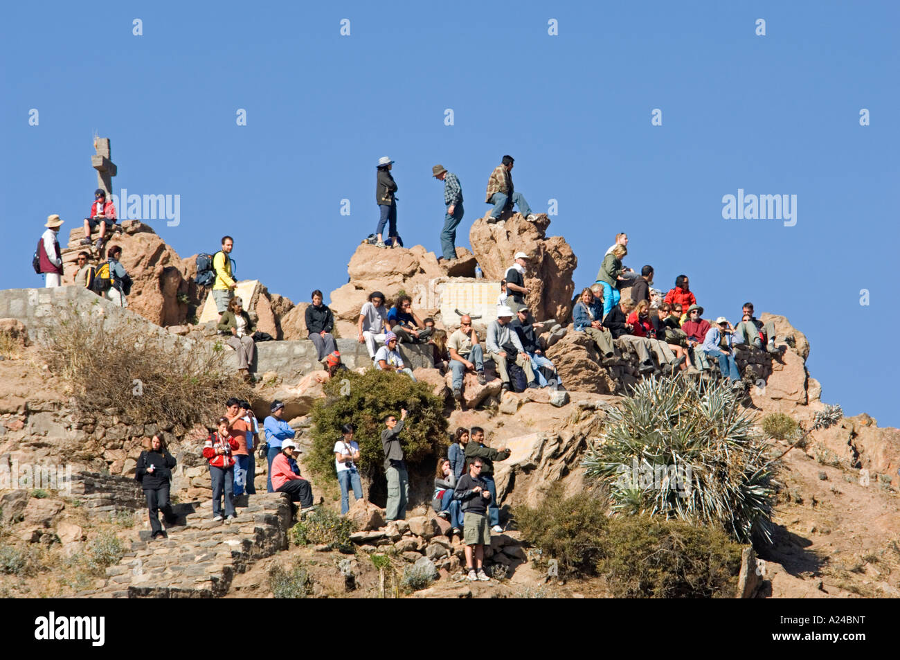 Cruz del Condor is a popular tourist spot to view the condors at Colca ...