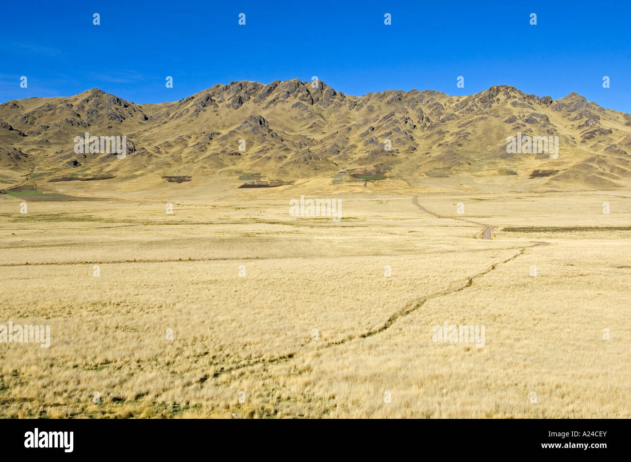 An image of the barren and remote landcsape scenery in this area of ...