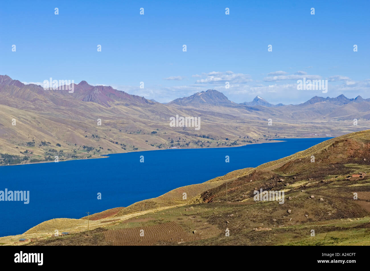 Langui layo hi-res stock photography and images - Alamy