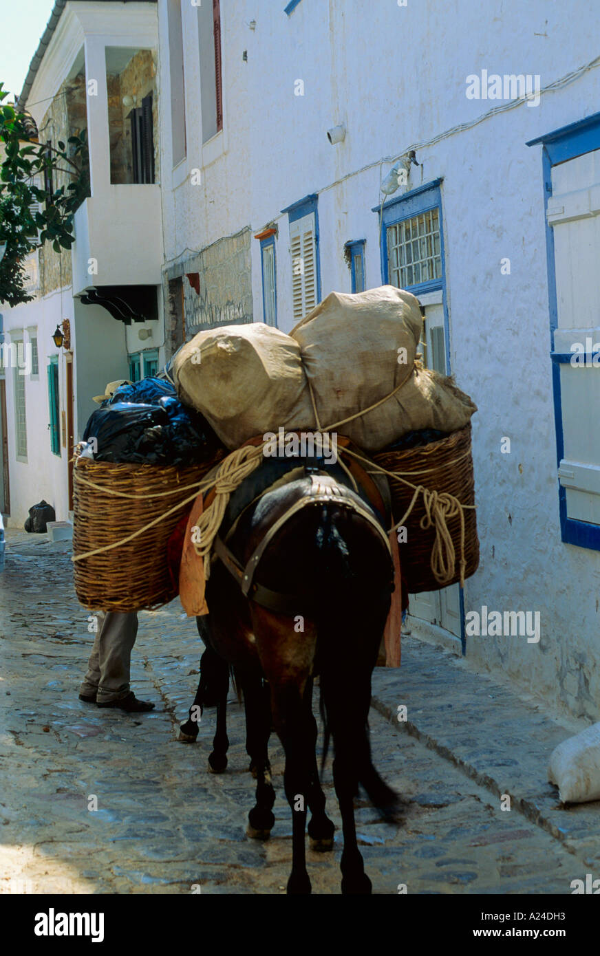 Loading Mules for transporting goods to higher levels at Hydra Greece ...