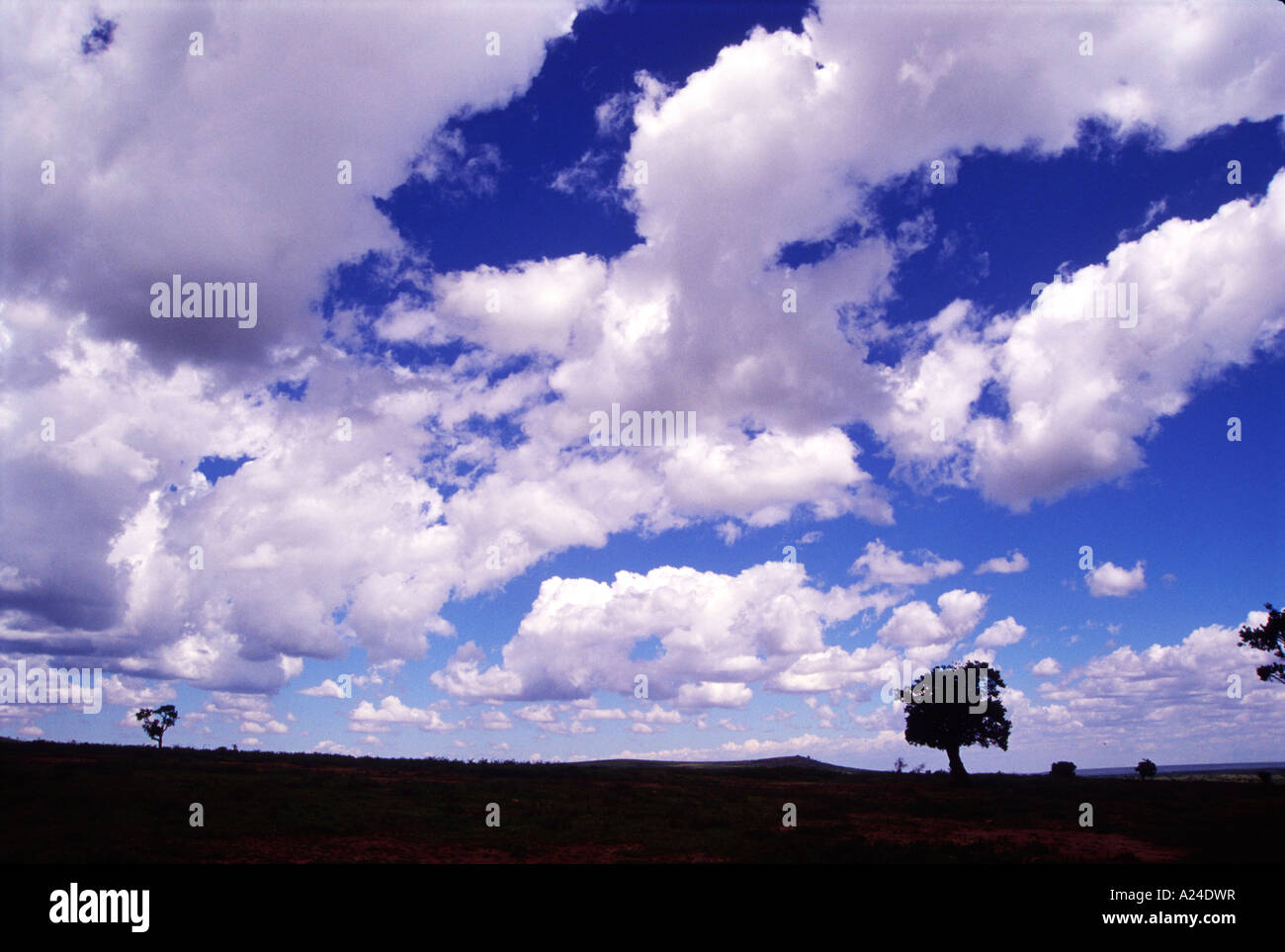 Omenous hi-res stock photography and images - Alamy