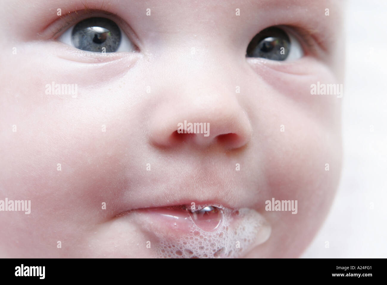 Slobbering hi-res stock photography and images - Alamy