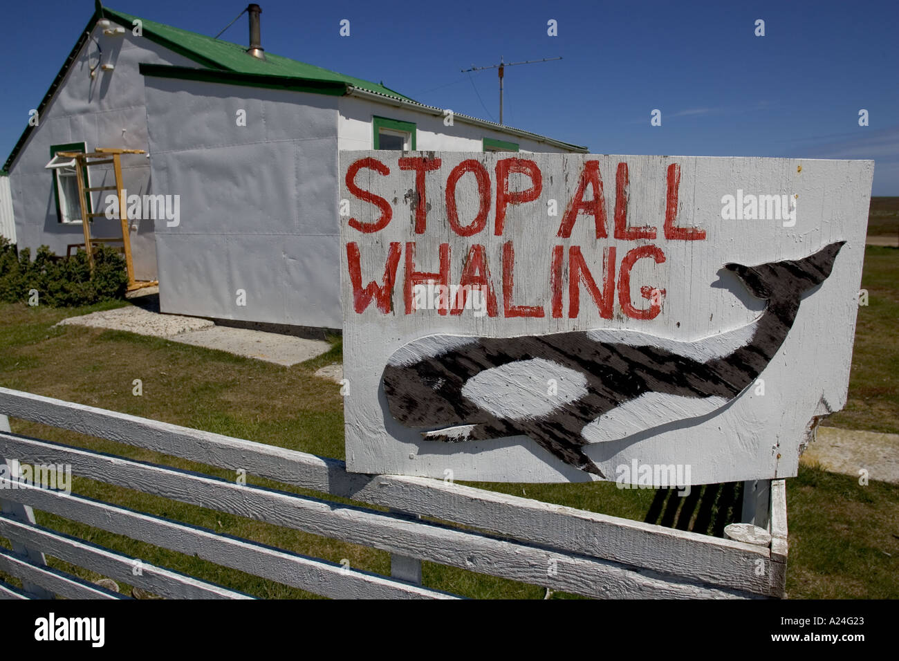 Anti Whaling Protest High Resolution Stock Photography and Images - Alamy