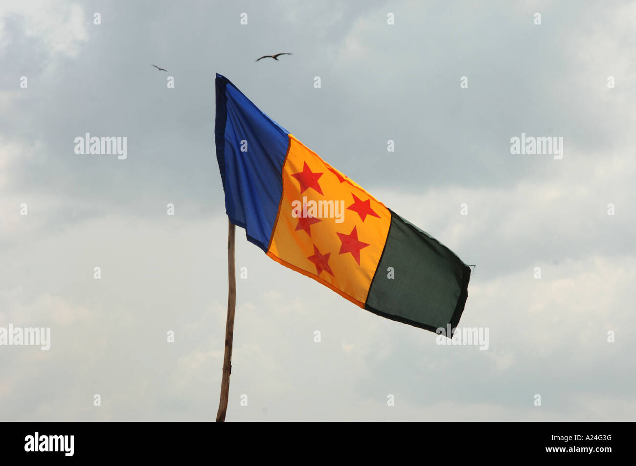 Saro wiwa shell hi-res stock photography and images - Alamy