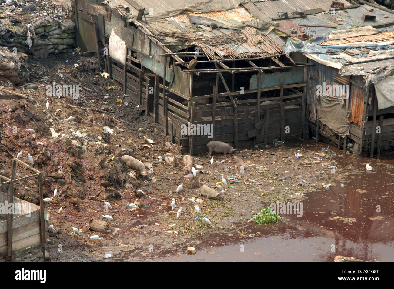 Port Harcourt Nigeria Stock Photo - Alamy