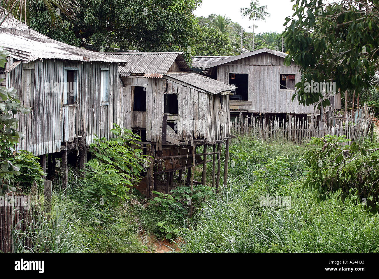 HUTS AND SHACKS IN THE AMAZONIAN TOWN OF BARCELOS, BRAZIL Stock Photo ...