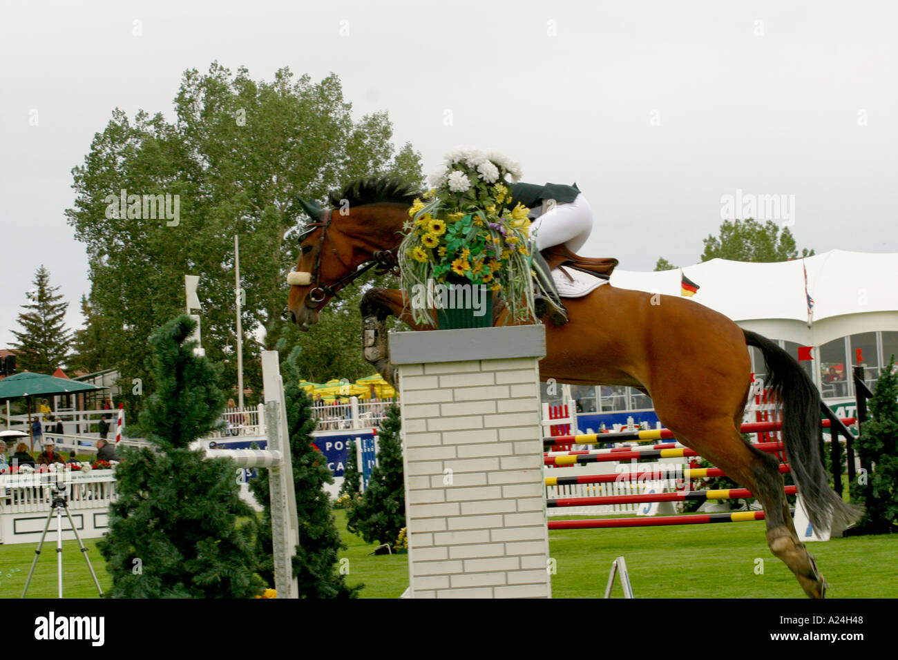 International Show Jumping at Spruce Meadows Calgary Alberta Canada ...