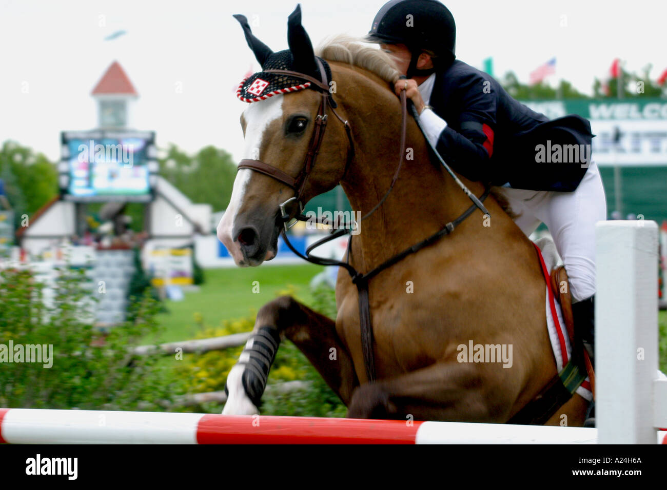 International Show Jumping at Spruce Meadows Calgary Alberta Canada ...