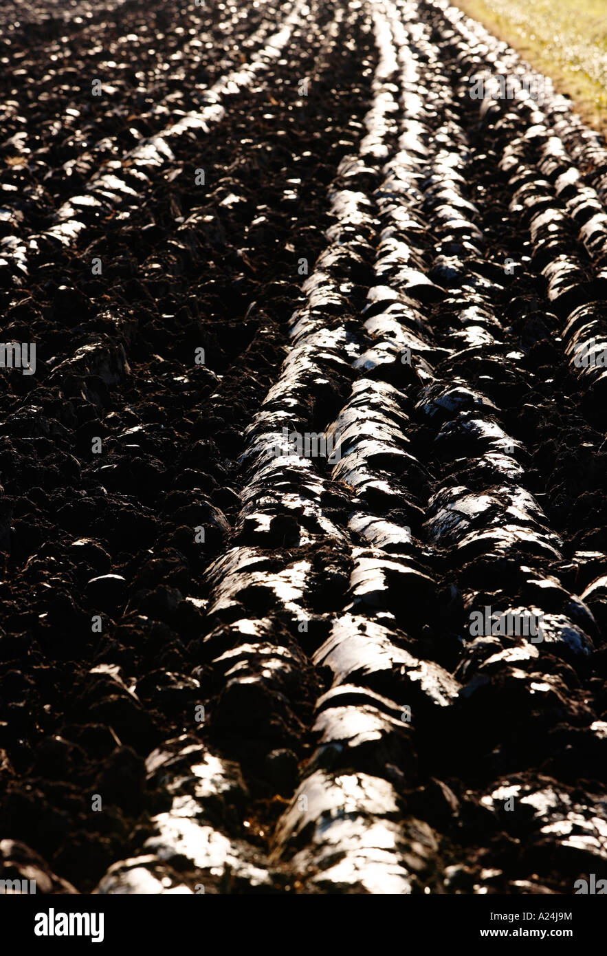 Freshly ploughed field Stock Photo - Alamy