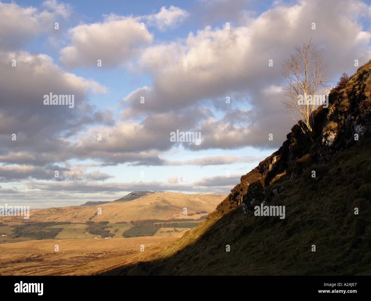 Campsie fell hi-res stock photography and images - Alamy