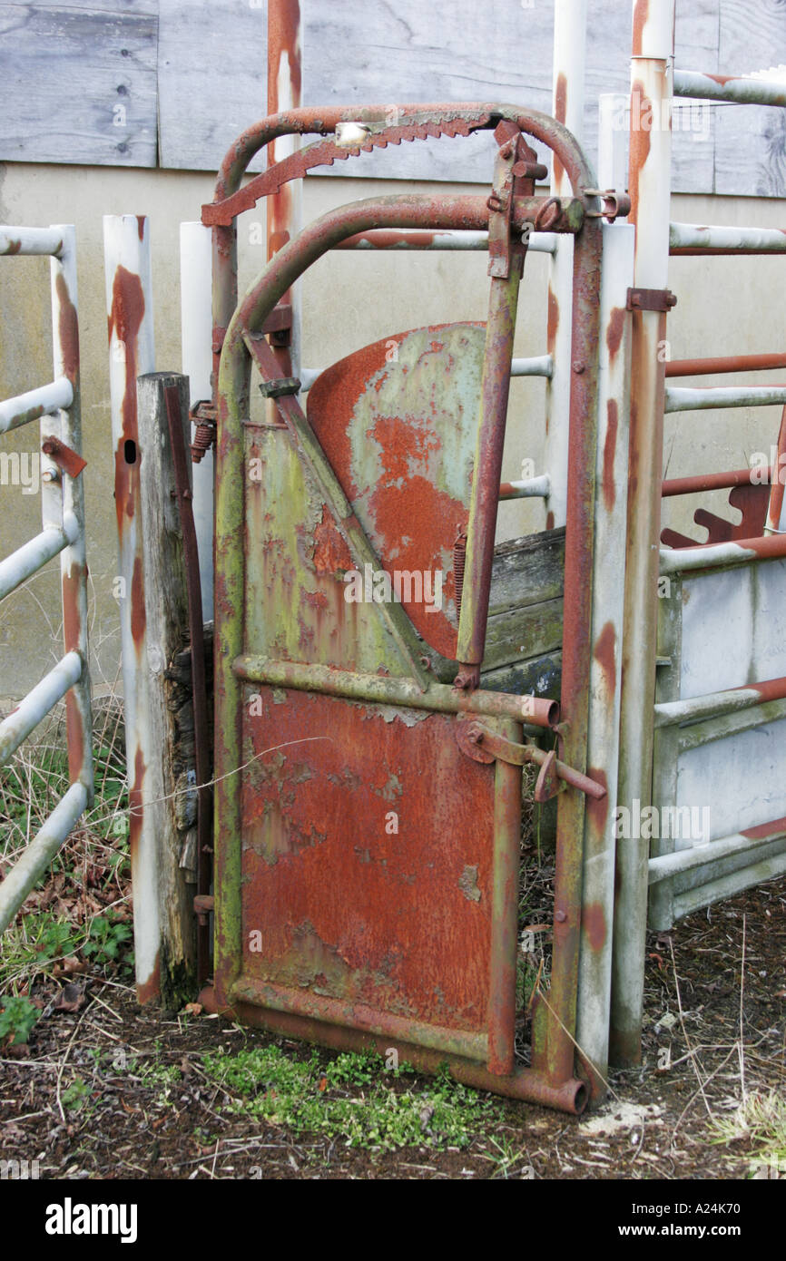 Clamps Animal Farm at Waldo Ross blog