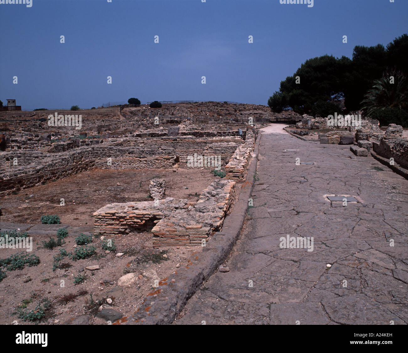 Roman road amongst the ruins at Nora Sardinia Stock Photo - Alamy