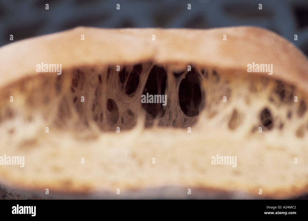 Over risen bread yeast flour cavern Stock Photo - Alamy