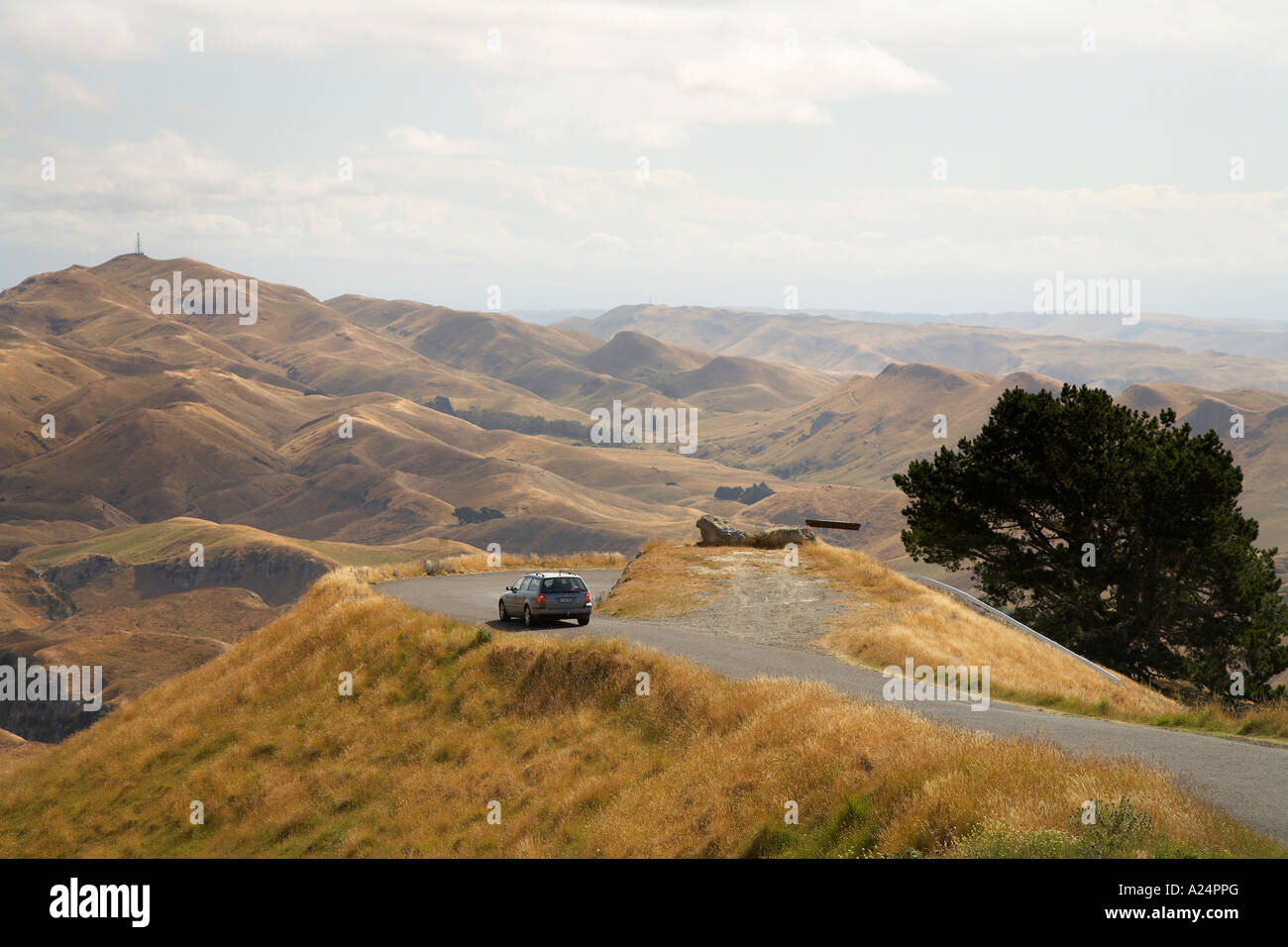 car going down winding road with parched summer conditions on hills in ...
