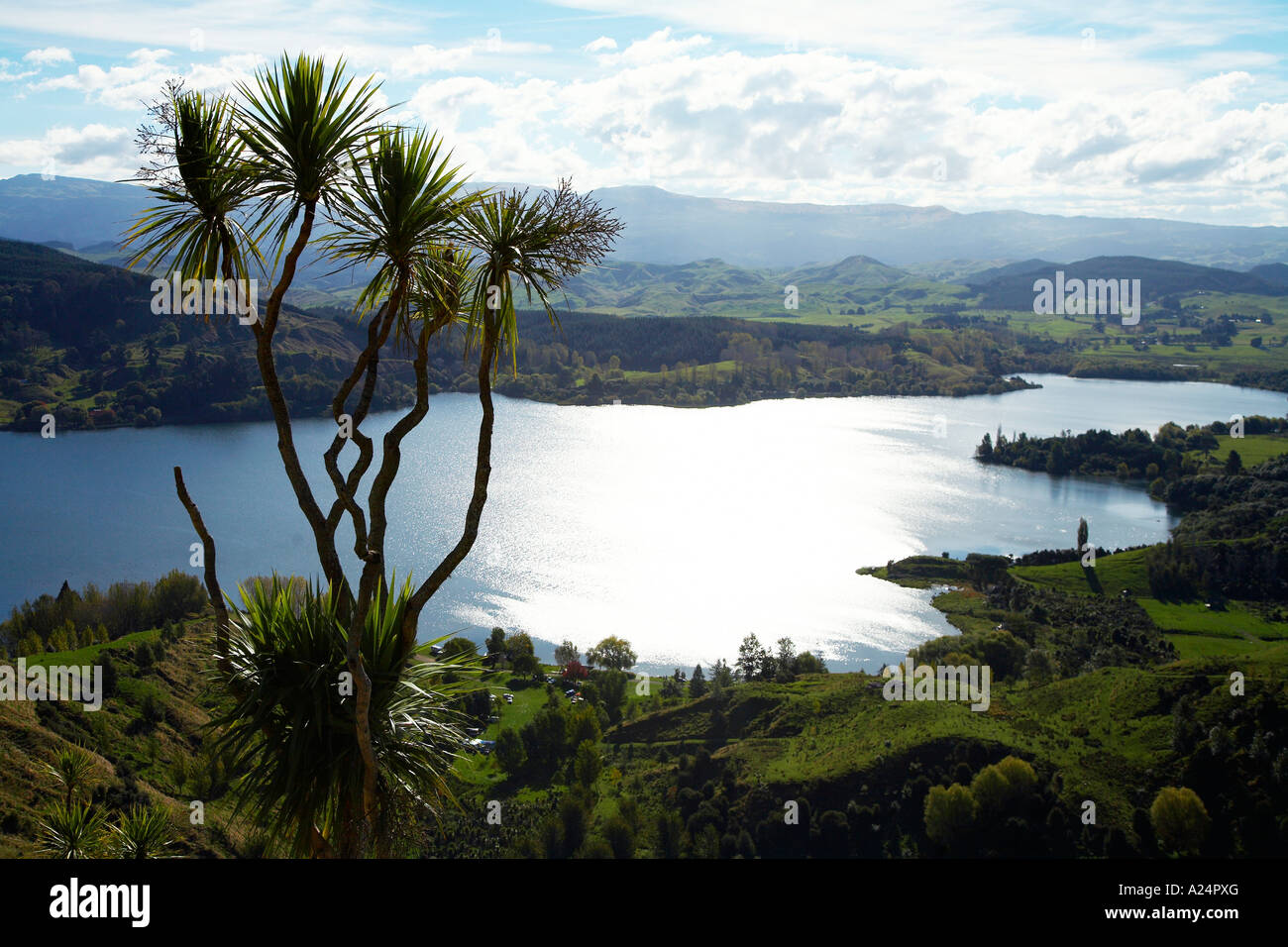views of lake Tutira 178 Ha and surrounding hawkes bay country side ...