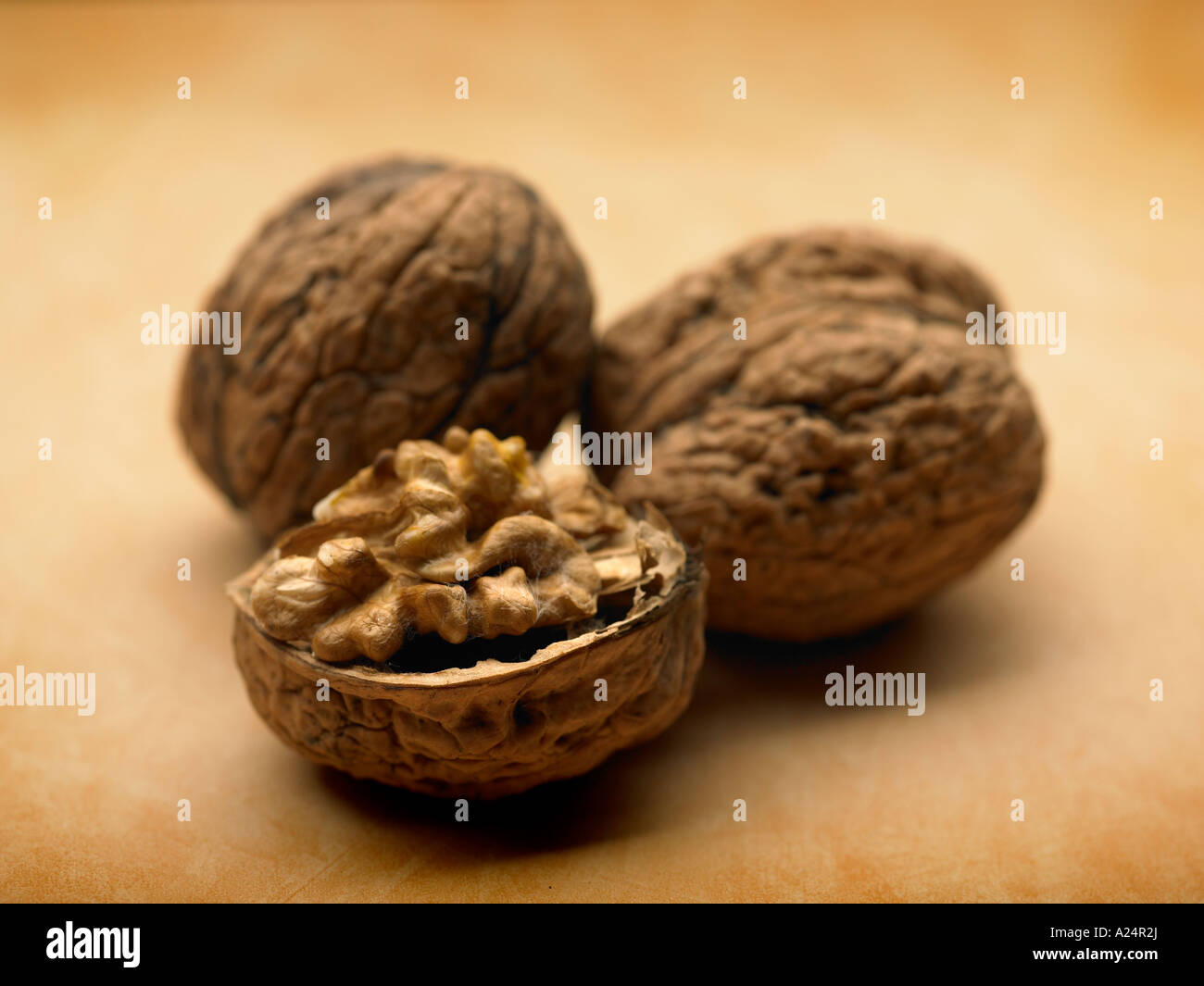 walnut shells in studio Stock Photo - Alamy