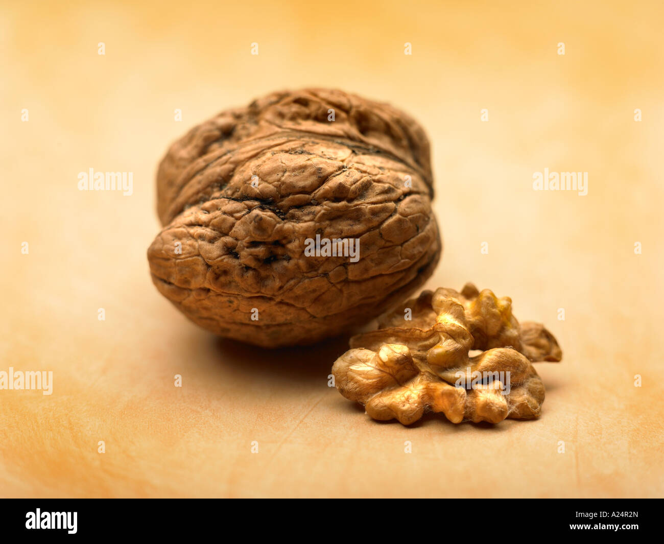 walnut shells nut and kernel Stock Photo - Alamy