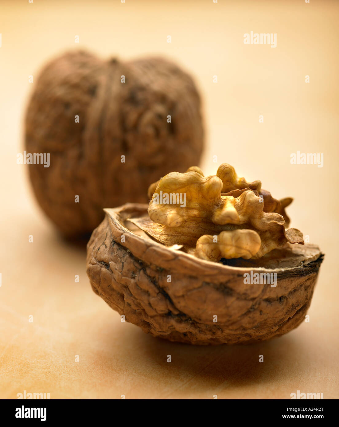 walnut in half shell in studio Stock Photo - Alamy