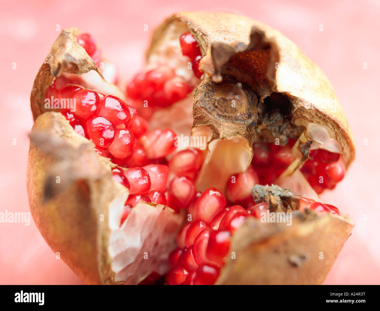 pomegranate fruit ripe and split open to reveal seeds Stock Photo - Alamy