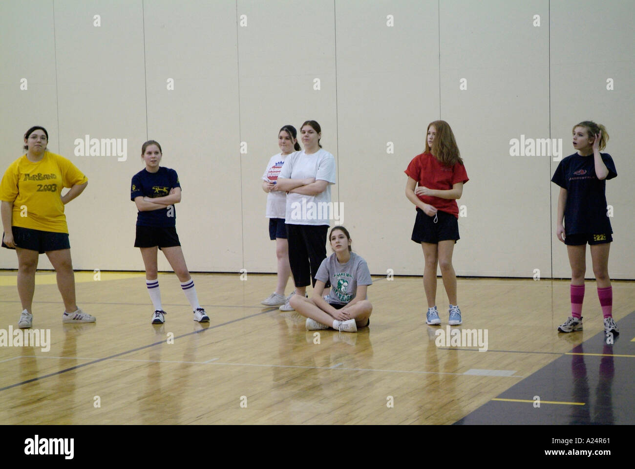 Female students interact in a group project in high school class room ...