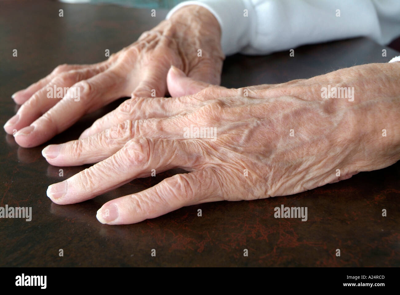 The hands of an 85 year old senior female Stock Photo - Alamy