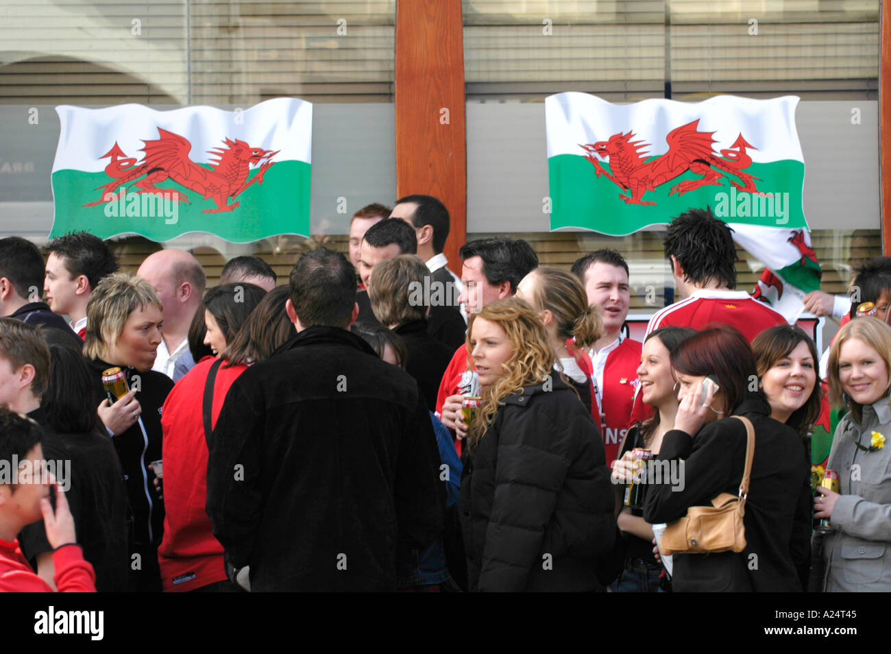 Female Lady Welsh Rugby Supporters High Resolution Stock Photography ...