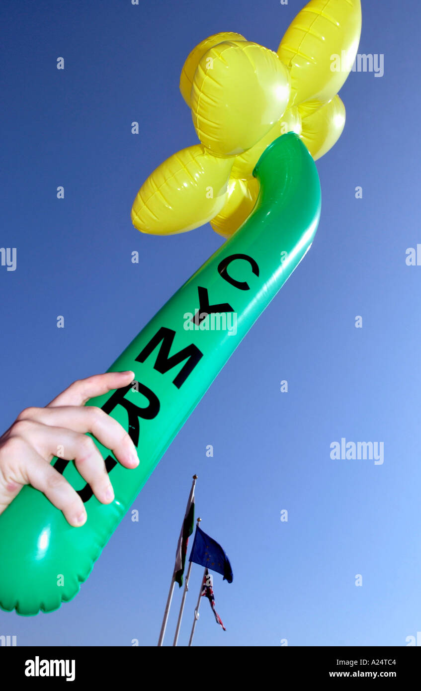 Welsh rugby fan holding inflatable yellow daffodil in Cardiff for a ...