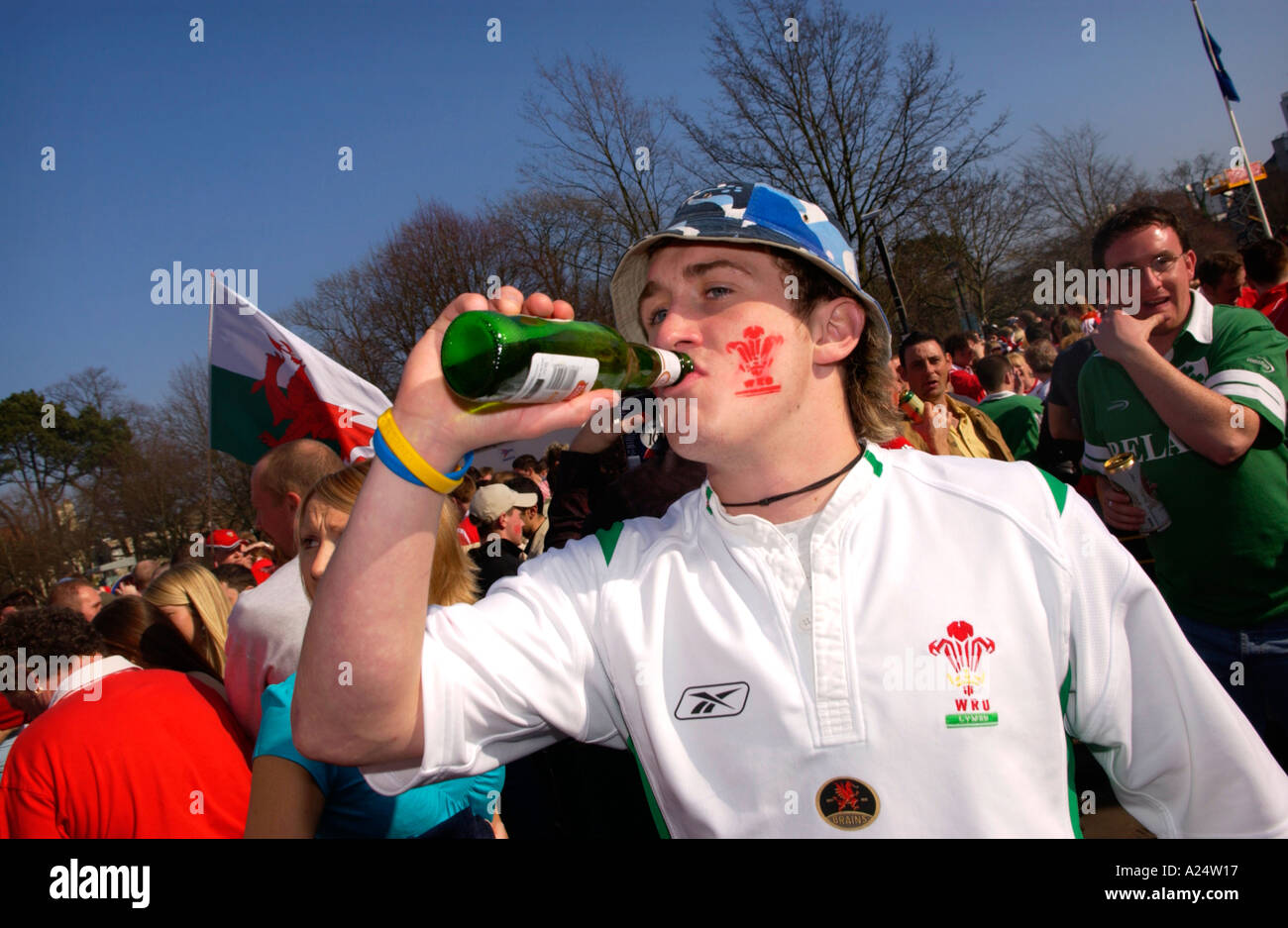 Welsh rugby fans drinking beer hi-res stock photography and images - Alamy