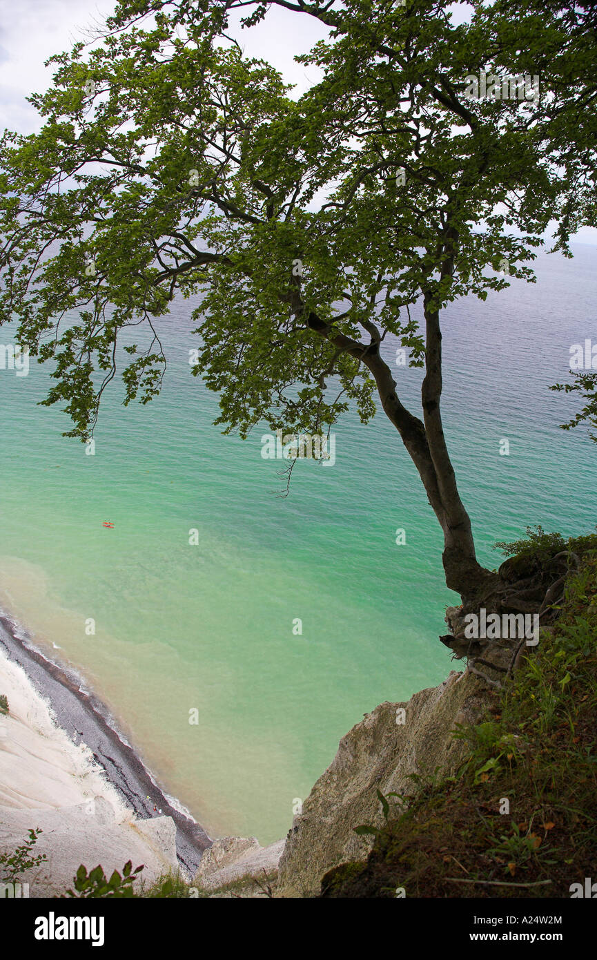 Denmarks island Mon chalk rocks Stock Photo - Alamy