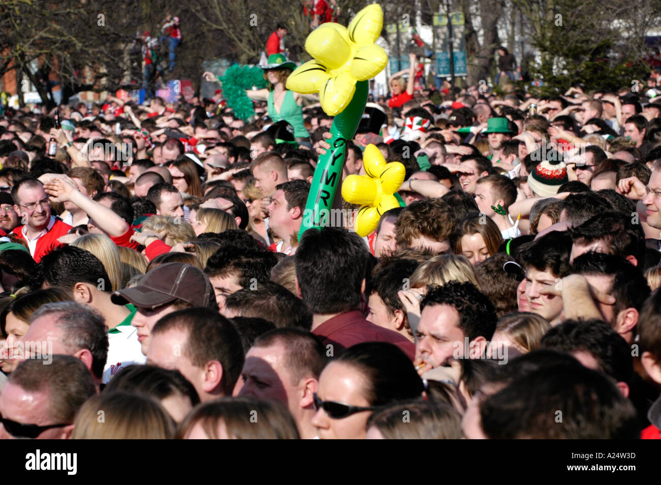 Crowds of Welsh rugby fans some with inflatable yellow daffodils in ...