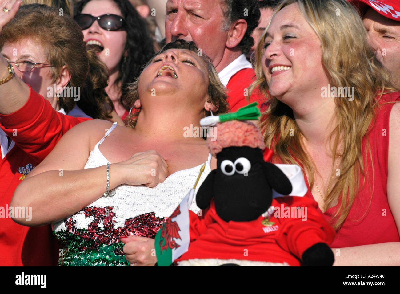 Female Welsh rugby fans celebrate Wales winning an international match ...