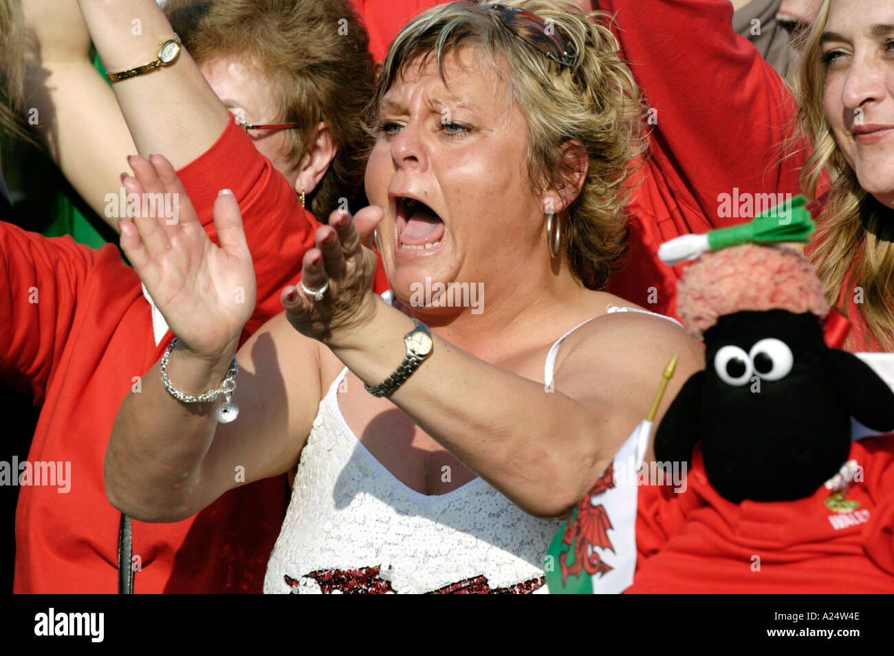 Female Welsh rugby fans celebrate Wales winning an international match ...