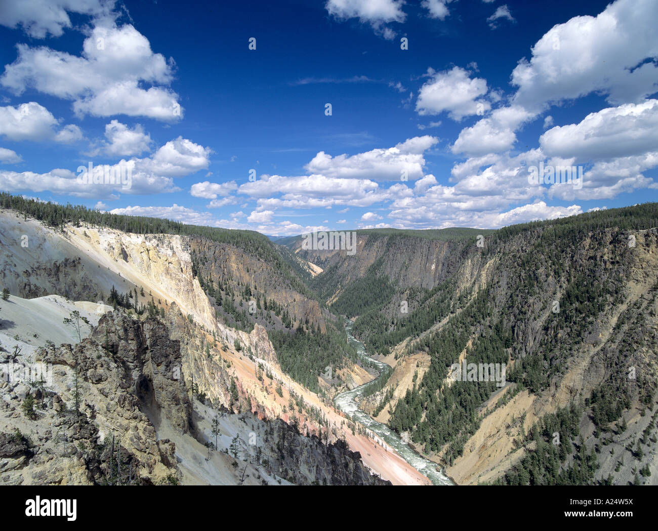 Inspiration Point Yellowstone Nationalpark USA Stock Photo - Alamy