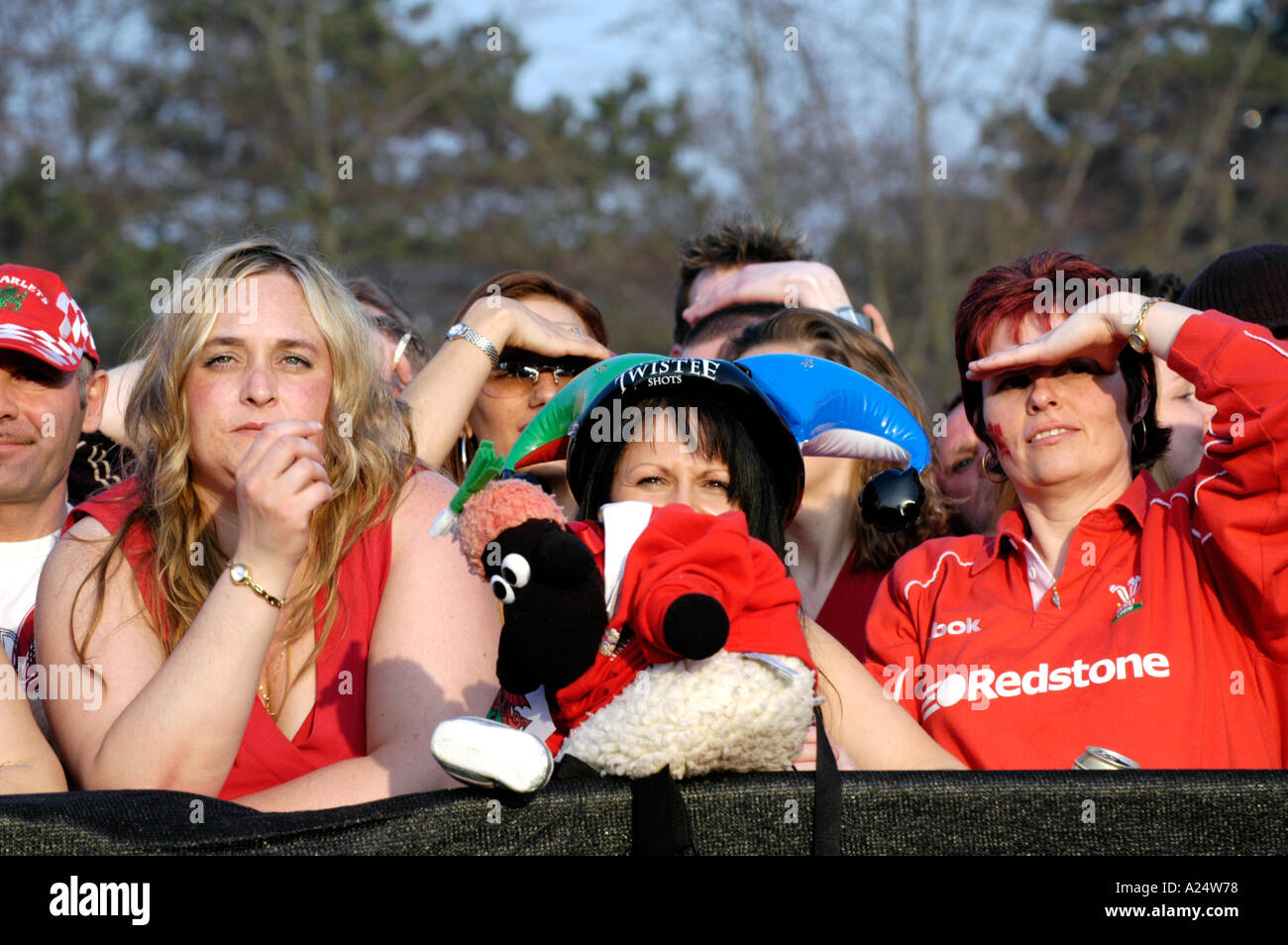 Female Welsh rugby fans celebrate Wales winning an international match ...