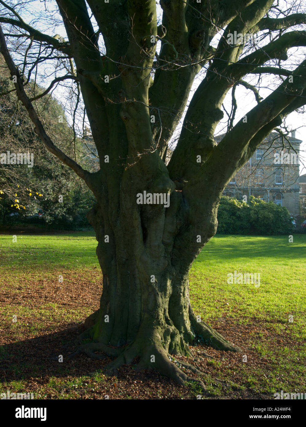 Victoria park bristol hi-res stock photography and images - Alamy