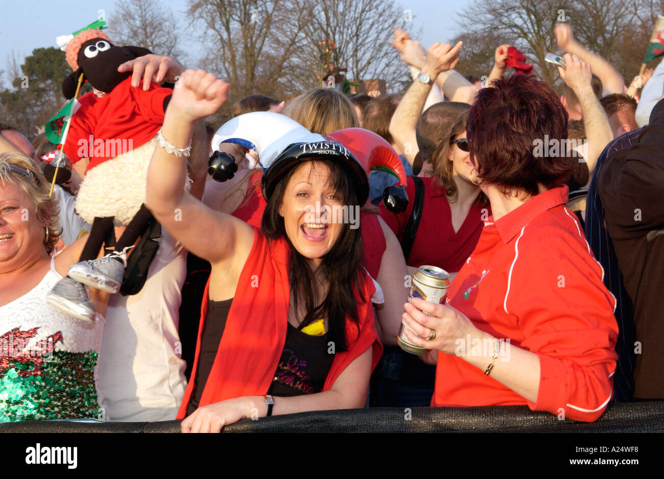 Female Welsh rugby fans celebrate Wales winning an international match ...