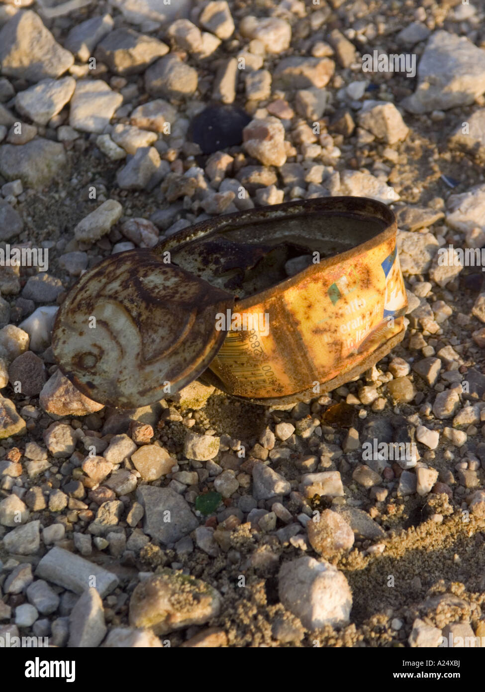 rust tuna can on the sand of Villaggio coppola, pollution of Naples ...