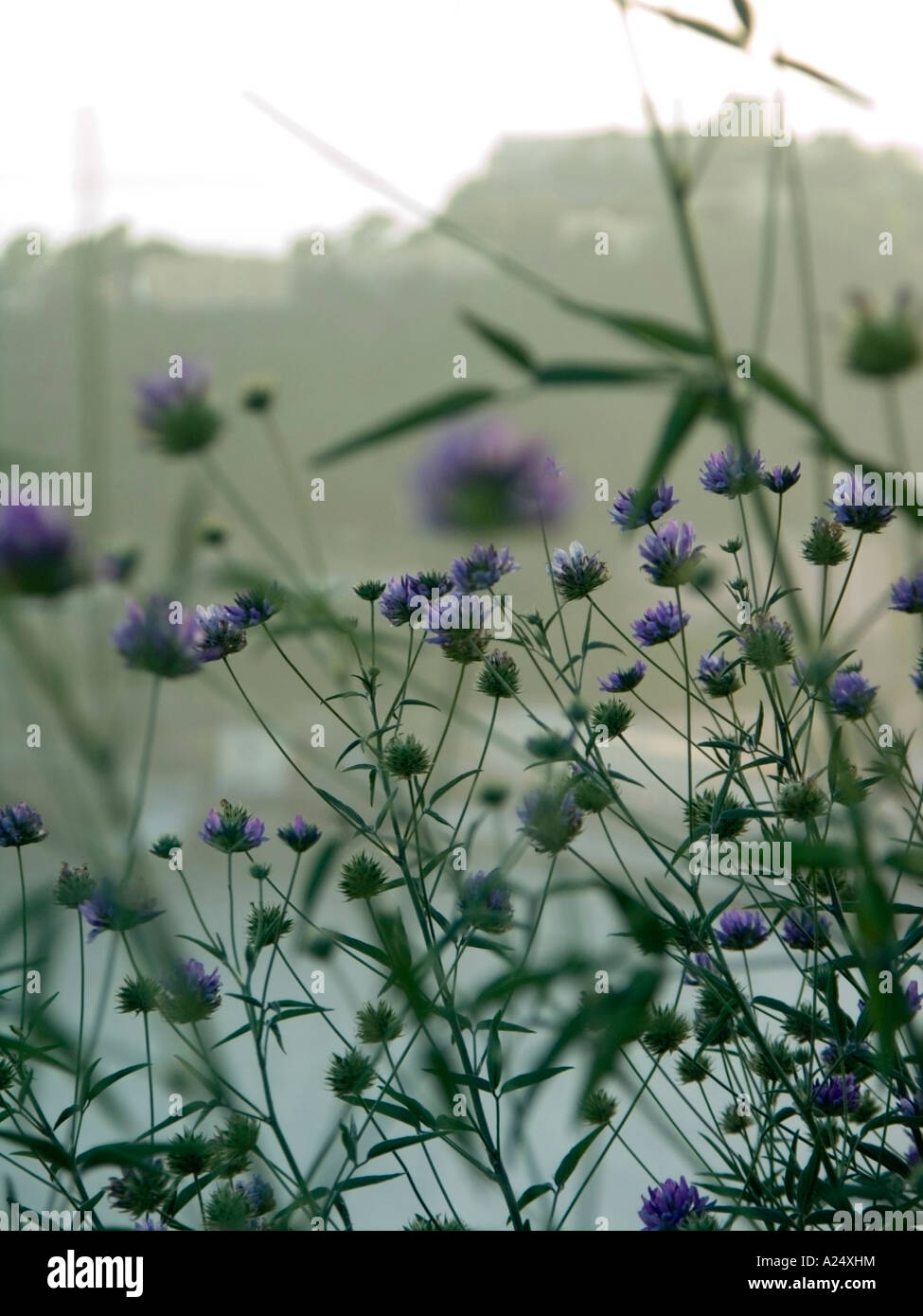 Suoth of italy hi-res stock photography and images - Alamy