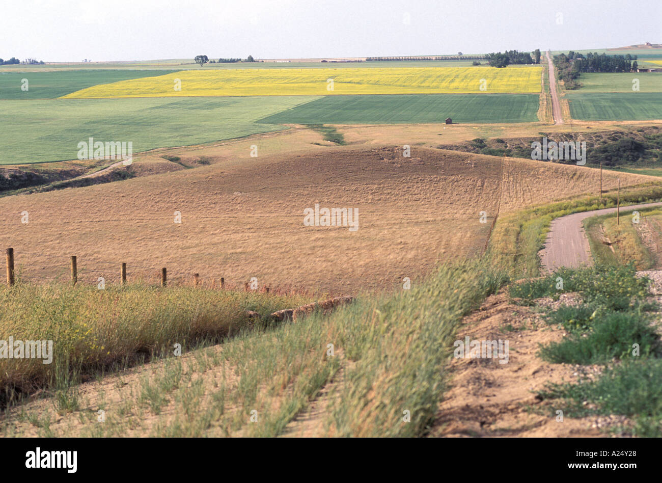 Southern Saskatchewan Canada Stock Photo - Alamy