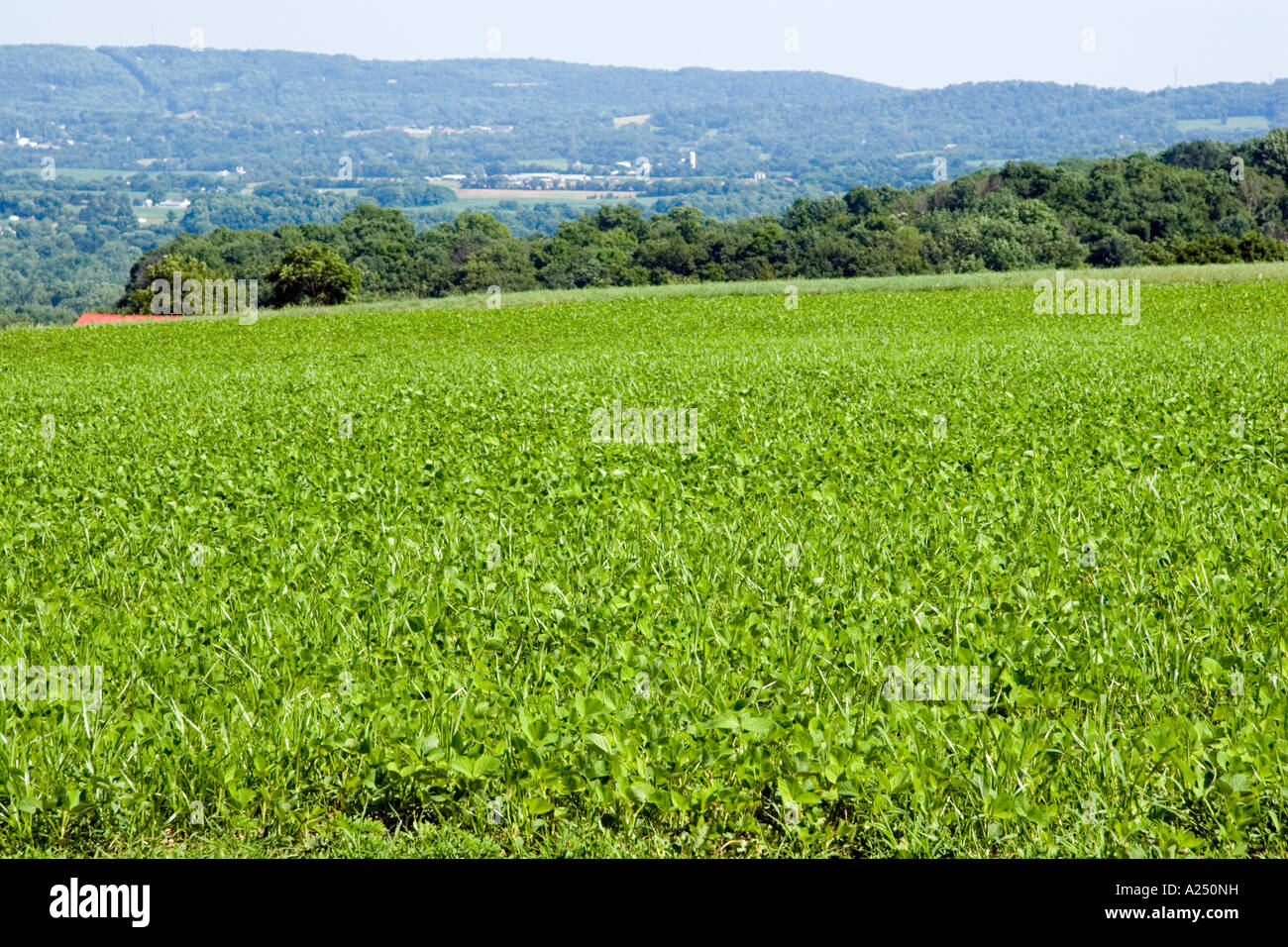 Gently sloping hills hi-res stock photography and images - Alamy