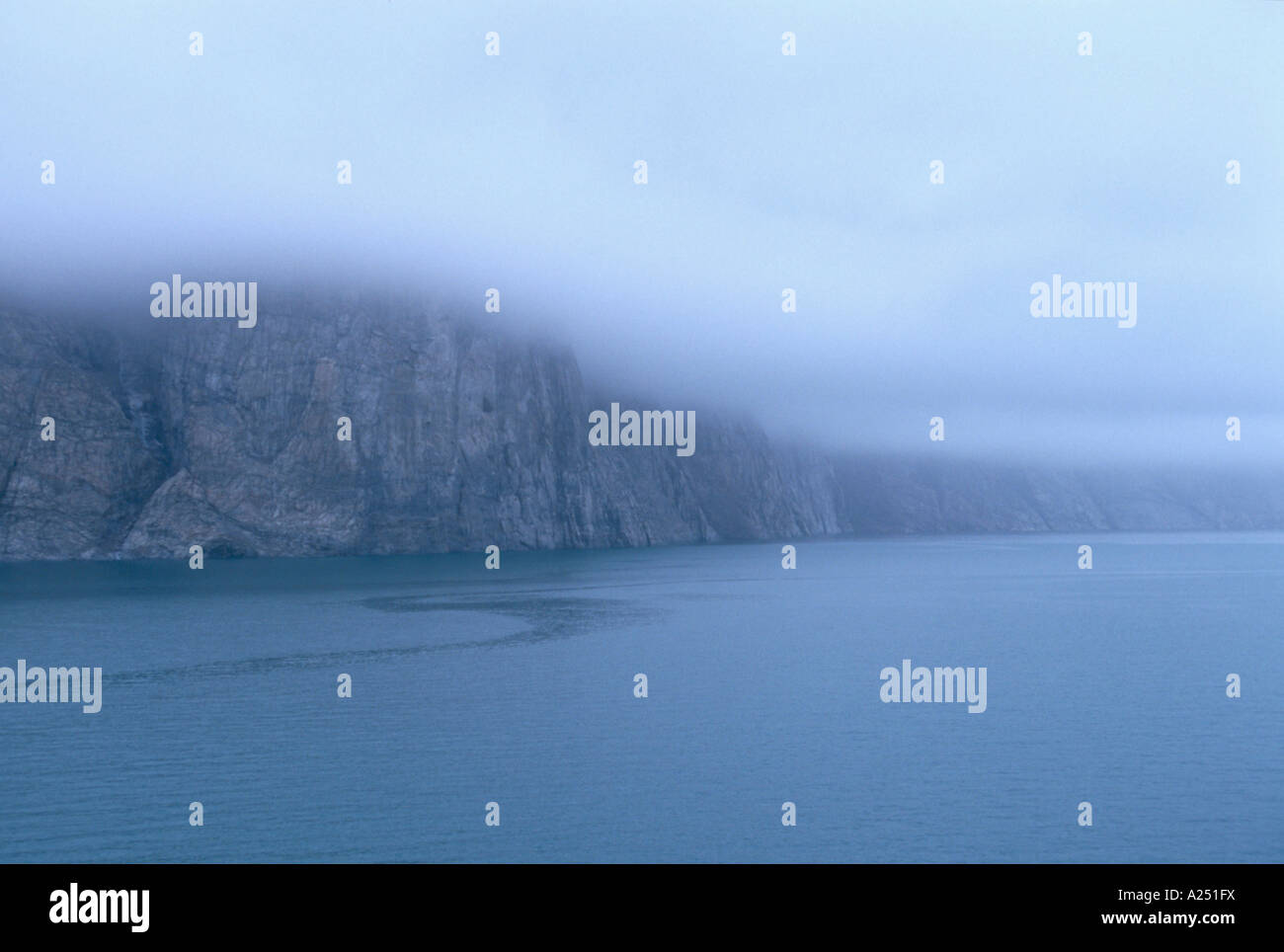 Scott Island Birdcliffs Gibbs Fjord Canada Kanada NWT Stock Photo - Alamy