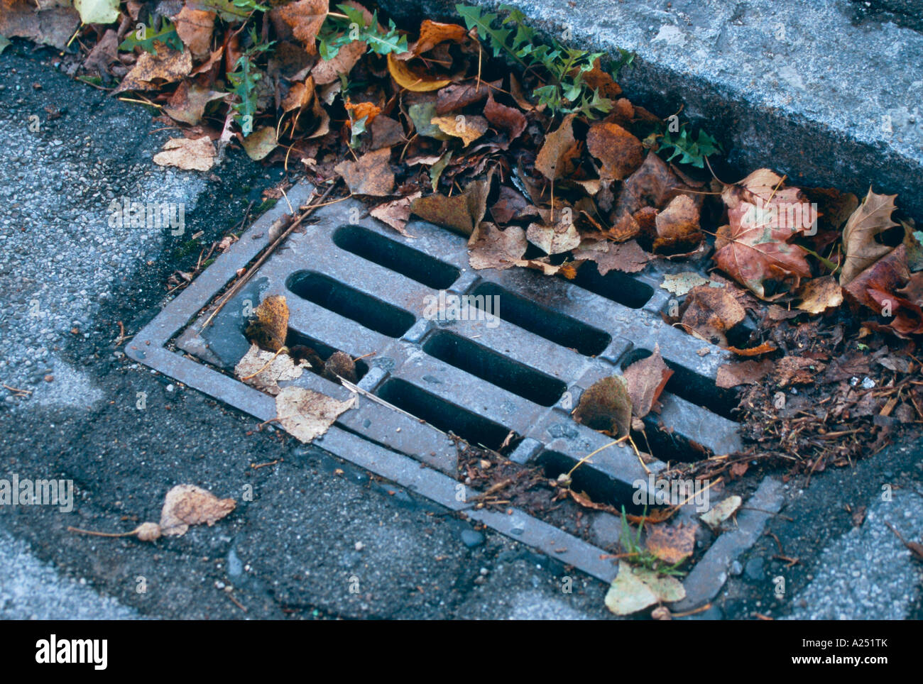Gulli drain hi-res stock photography and images - Alamy